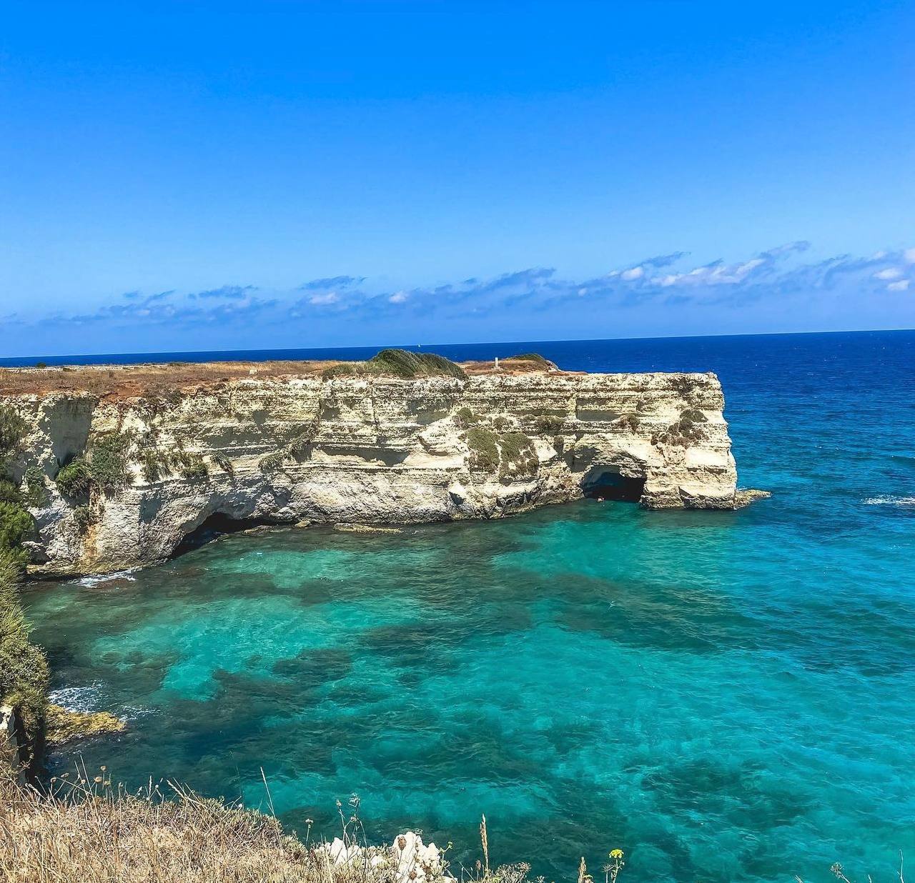 Telegram-канал "Елена Берковская" — @berkovskaya_elena — TGStat